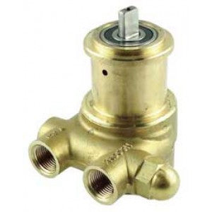 Brass Pump With Strainer 125 GPH, 250 PSI - Procon – Draft Warehouse